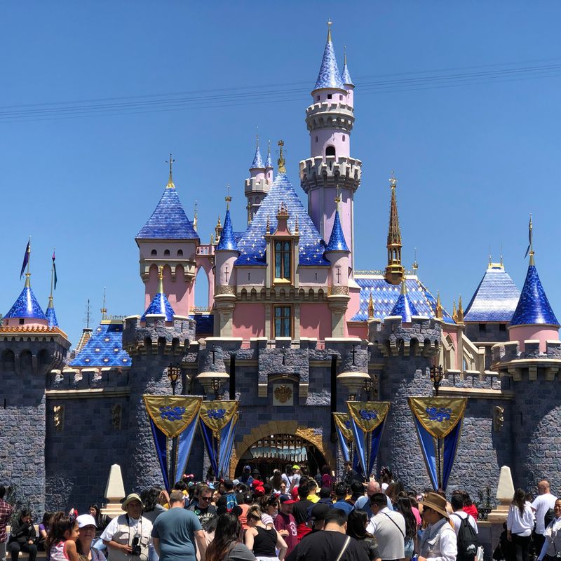 Château de la Belle au bois dormant - Château central à Disneyland ...