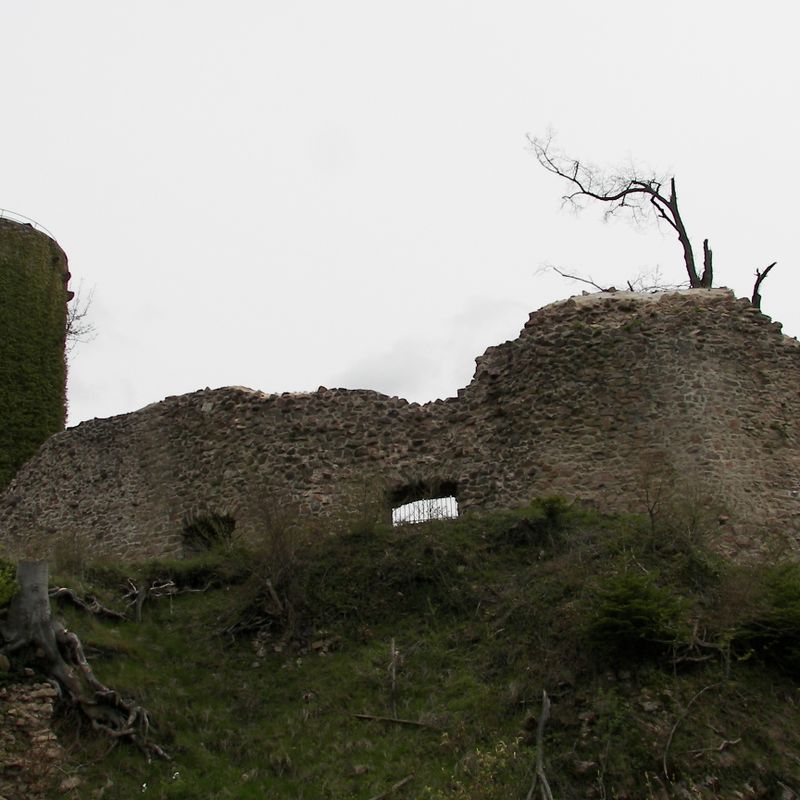 Sausenburg Castle - Ruínas de fortaleza medieval próximo a Kandern ...