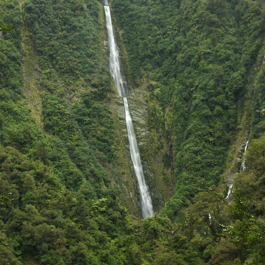 Fiordland National Park - Parc national dans l'Île du Sud, Nouvelle-Zélande