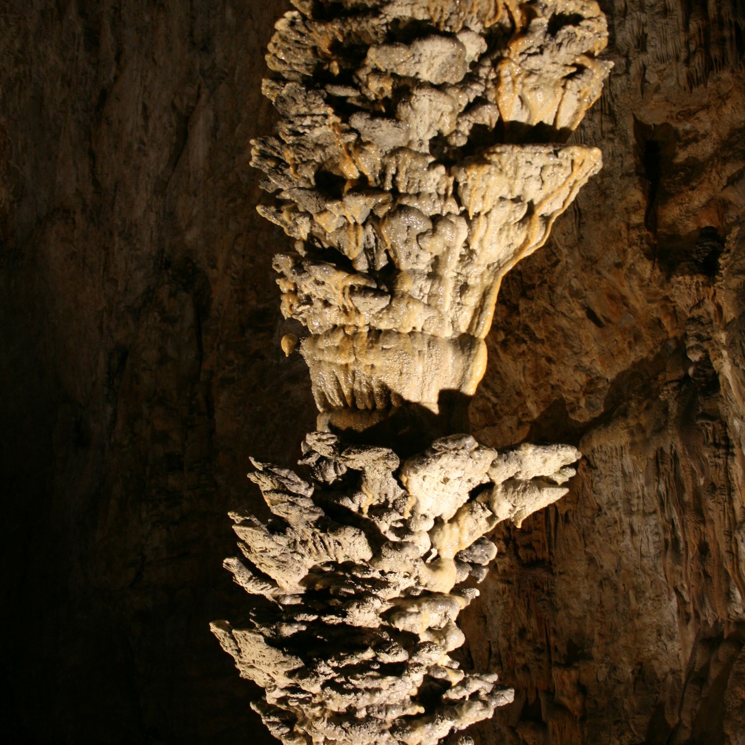 Grotta Gigante - Grotte touristique à Sgonico, Italie
